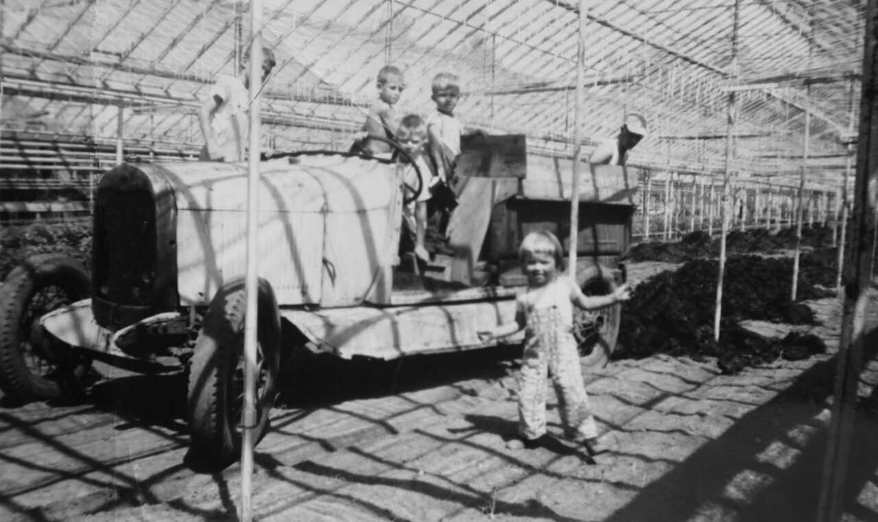 About – Masterpiece Flower