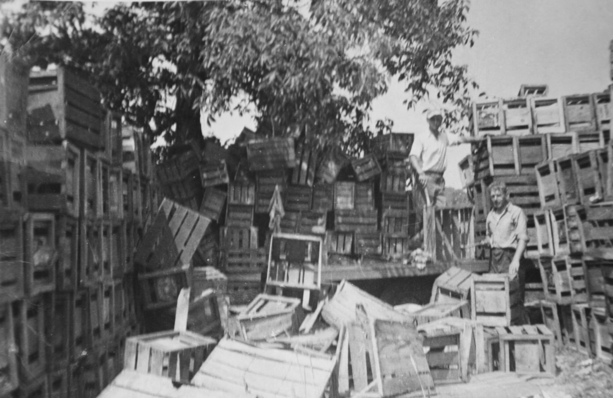 About – Masterpiece Flower