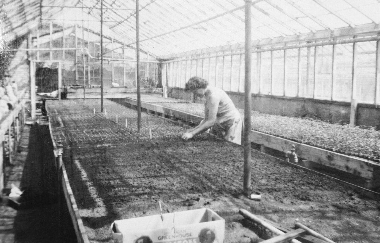 About – Masterpiece Flower