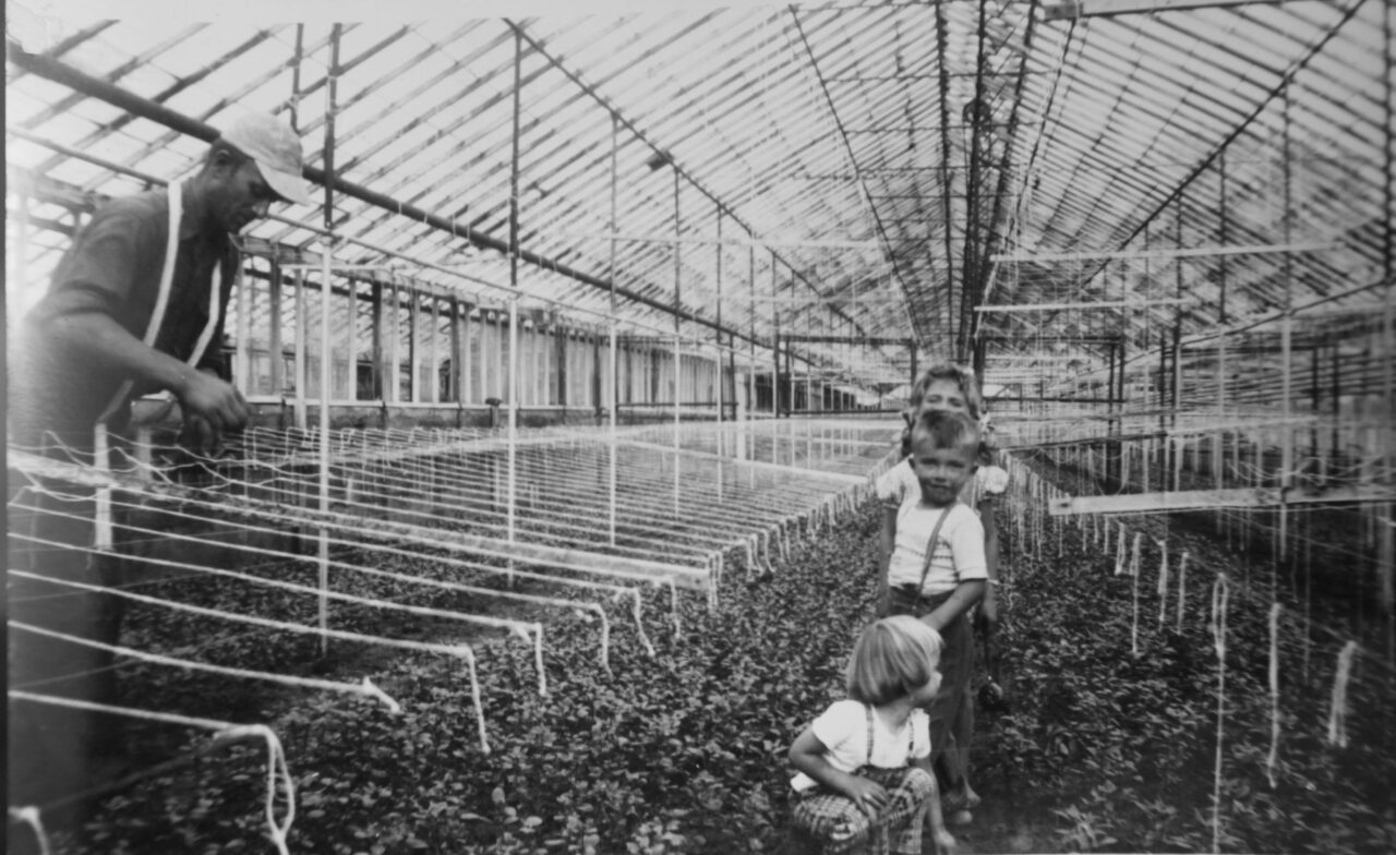 About – Masterpiece Flower