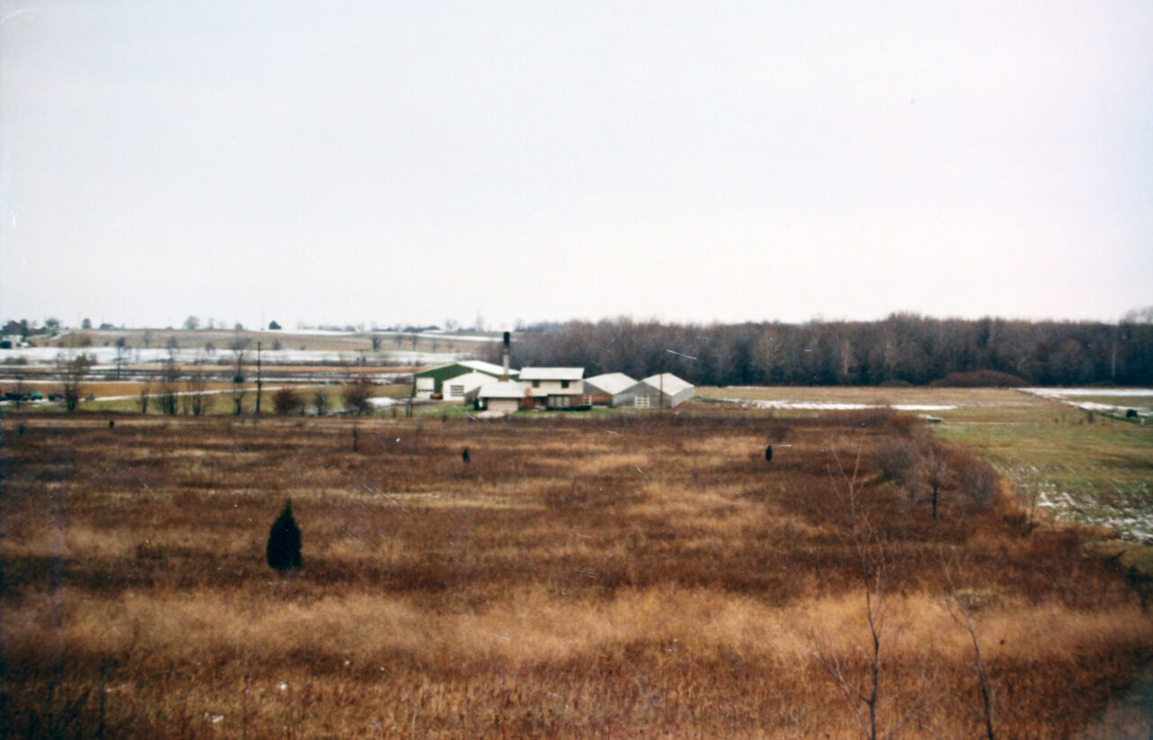 About – Masterpiece Flower