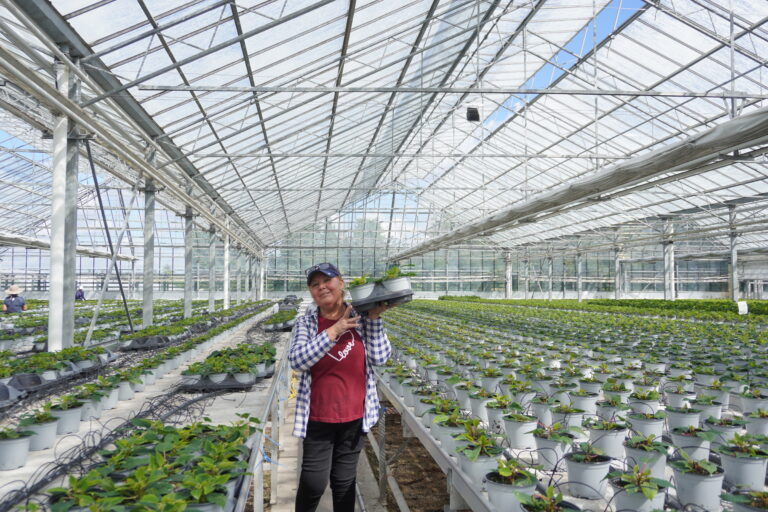 Careers – Masterpiece Flower