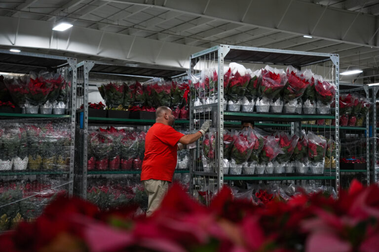 Careers – Masterpiece Flower